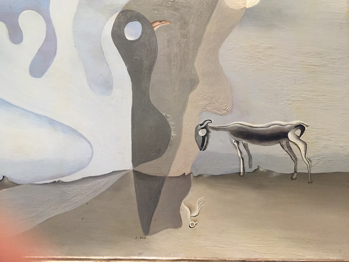 Dilly "Dali" in Florida - BACK ROADS AND OTHER STORIES