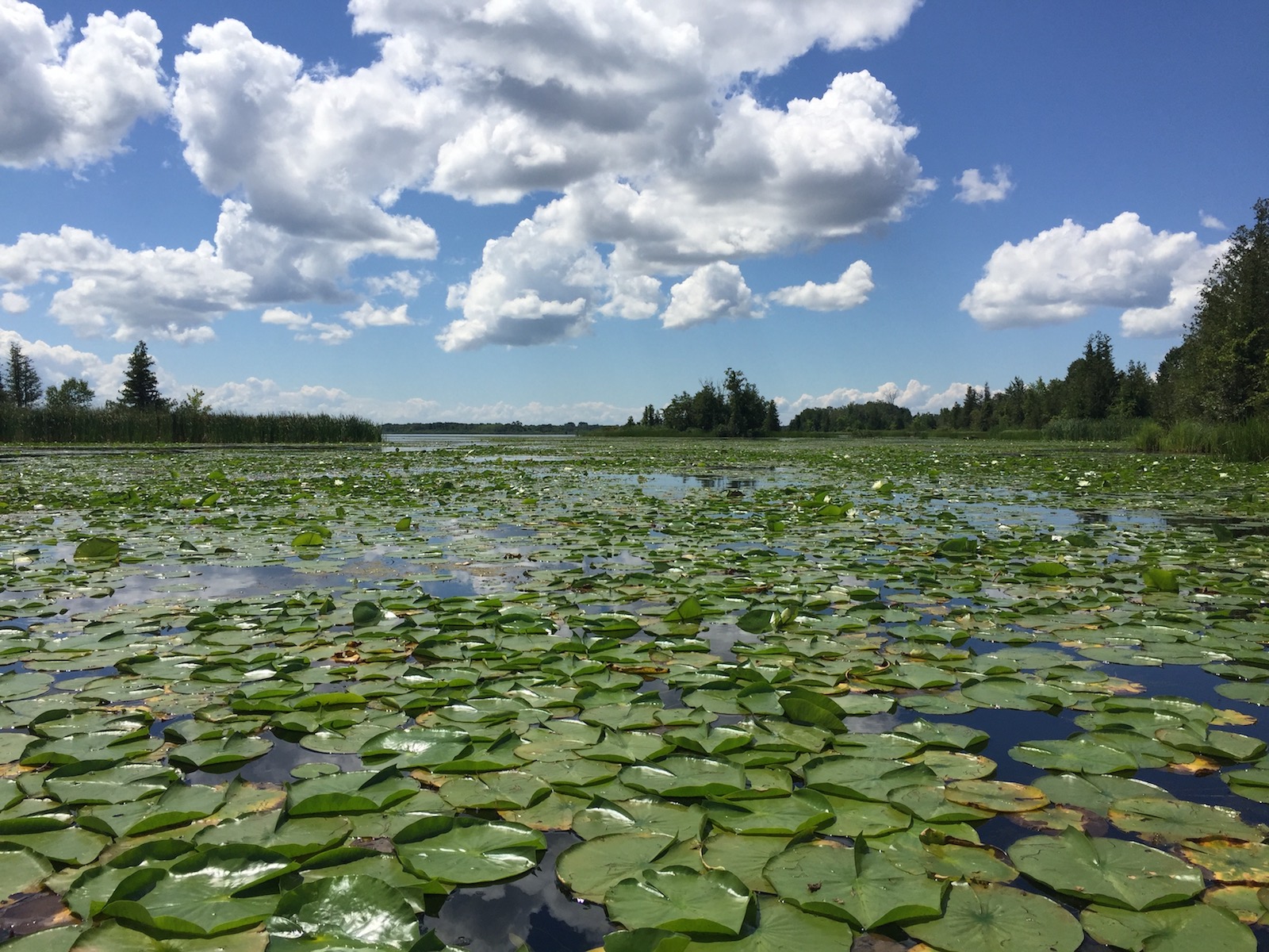 Canal Lake Day Trip - BACK ROADS AND OTHER STORIES