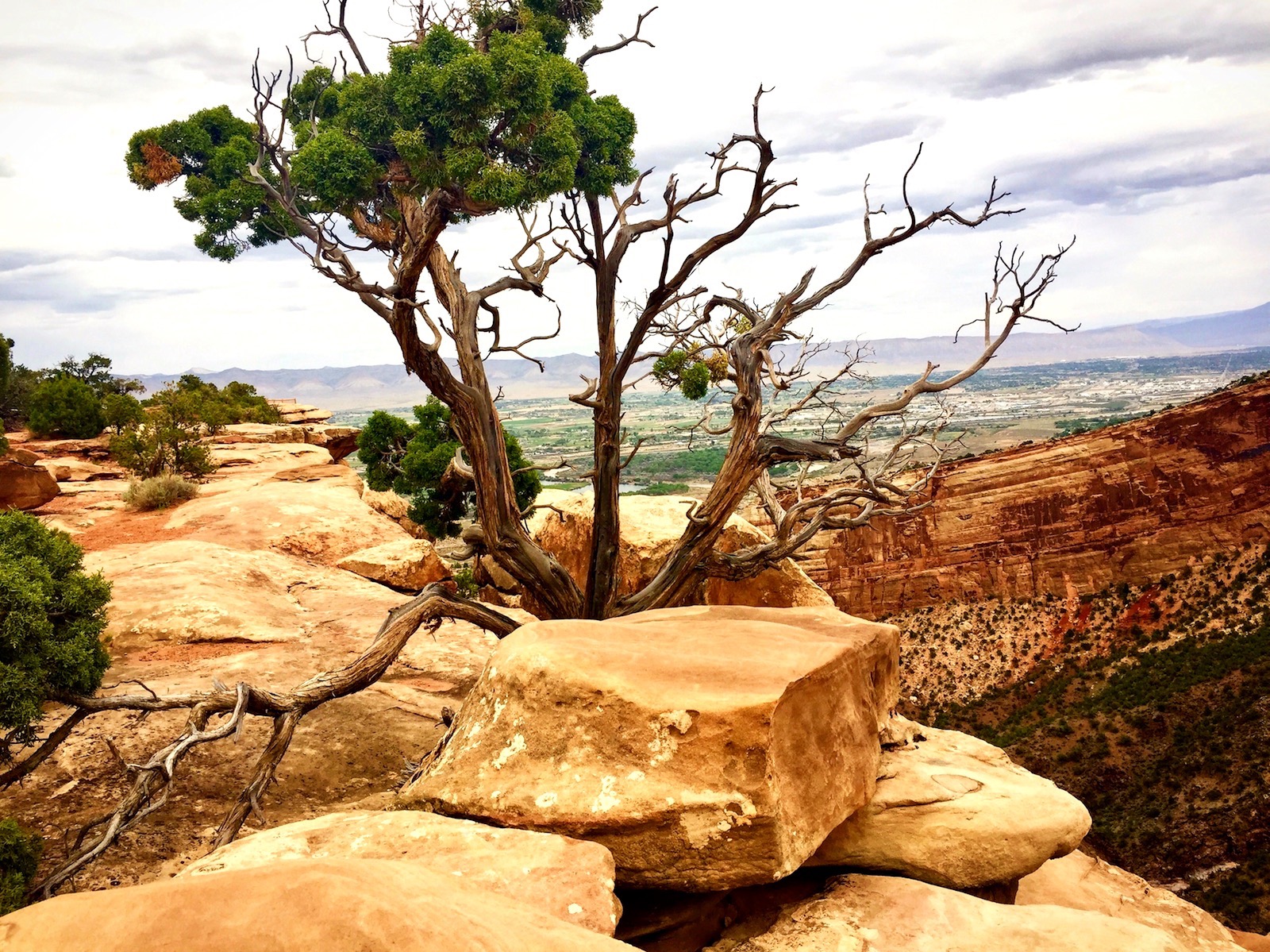 Travel Photo Challenge Day 1 - BACK ROADS AND OTHER STORIES