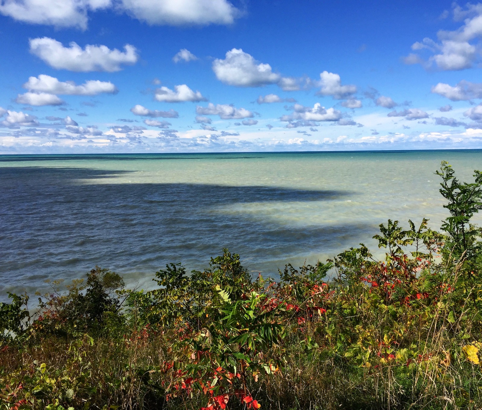 Bayfield - BACK ROADS AND OTHER STORIES